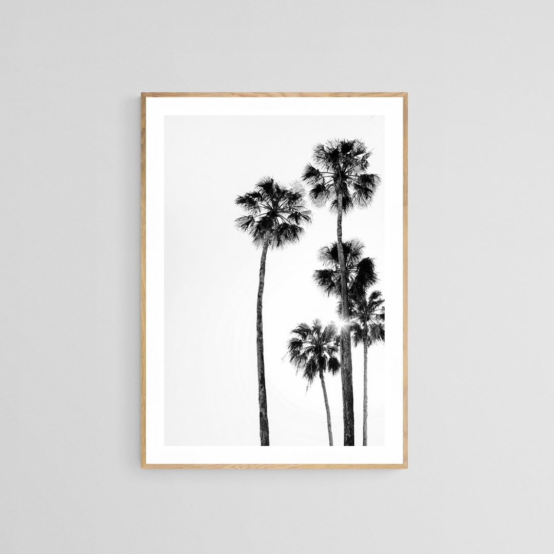 Palm Tree Print, Shine On, Palm Tree Art, Black and White Photograph ...