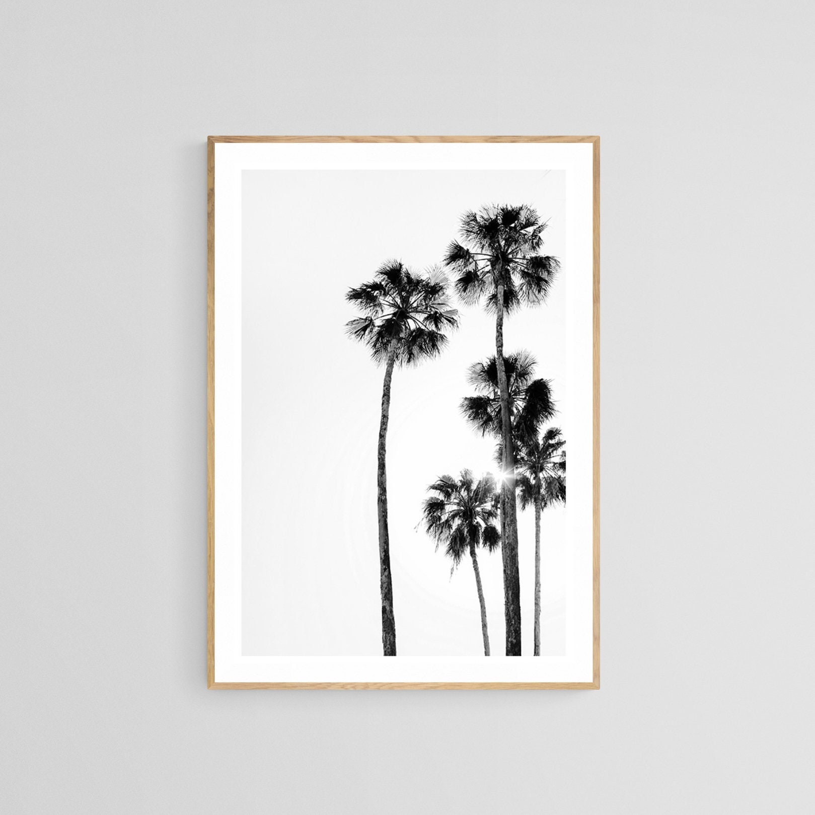 Palm Tree Print