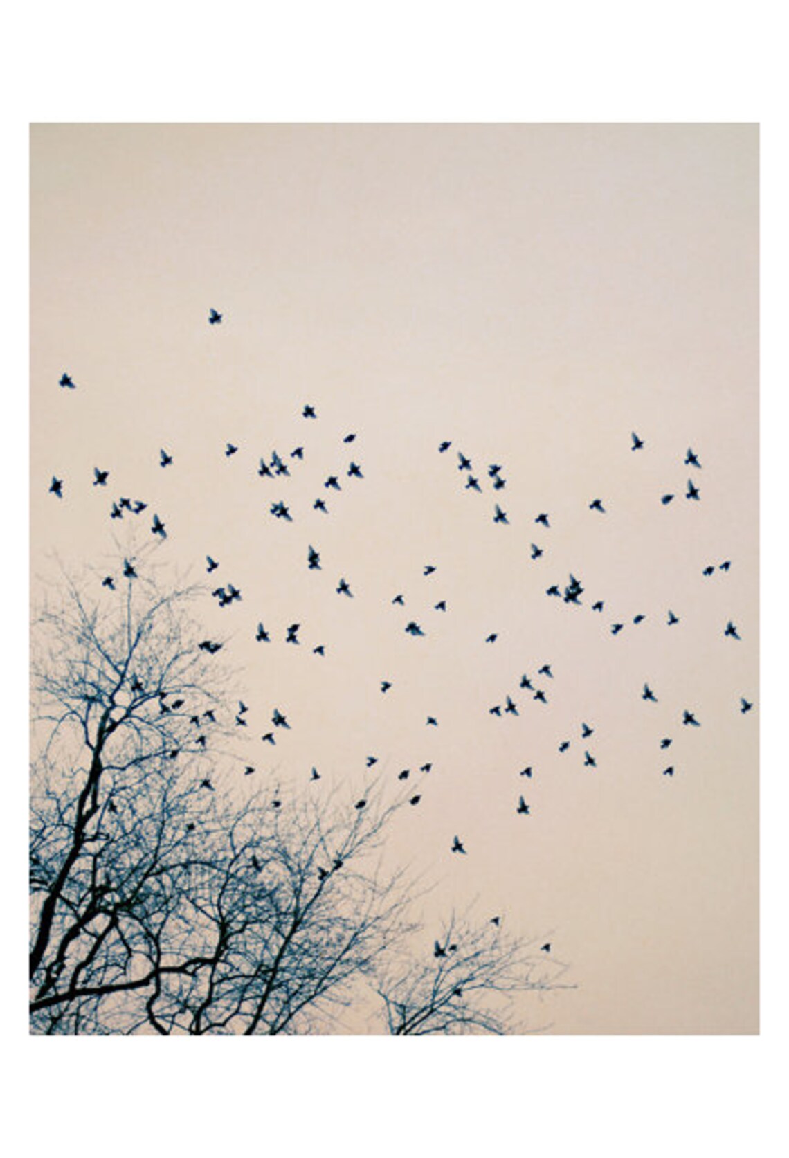 Bird Art Print Birds In Flight Flying Birds Print Tree | Etsy