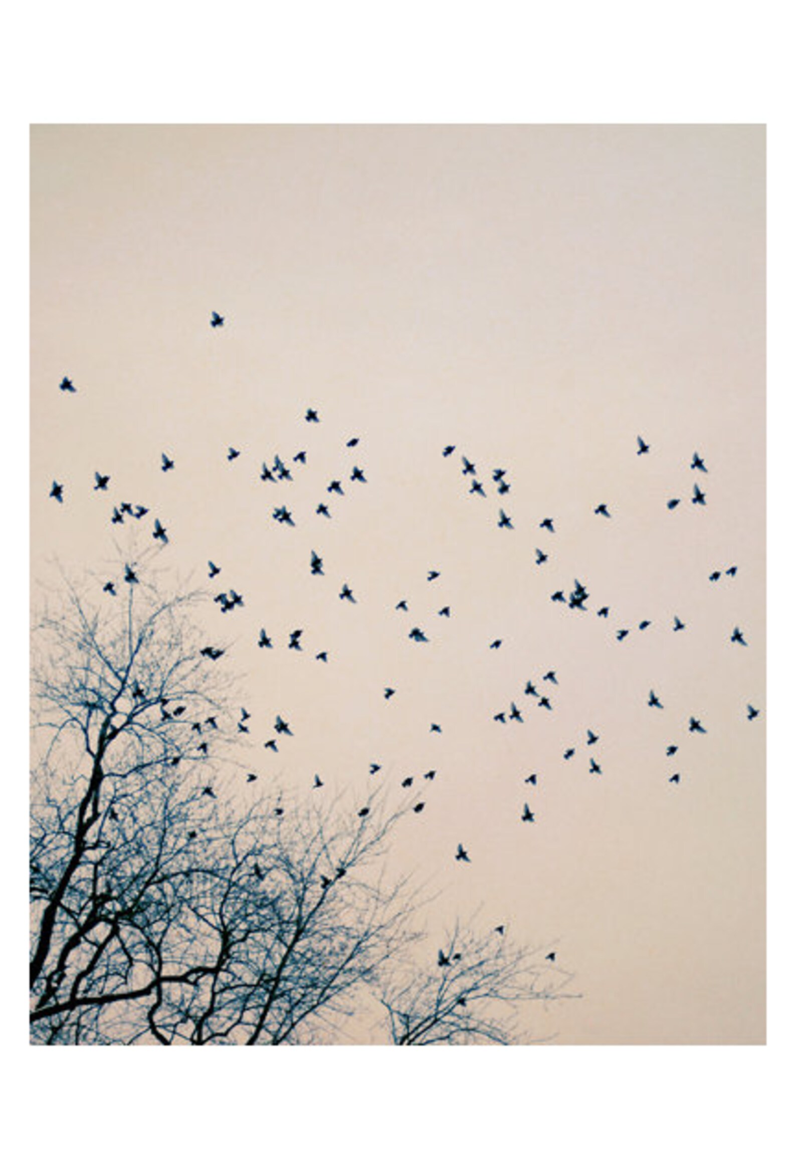 Bird Art Print Birds In Flight Flying Birds Print Tree | Etsy