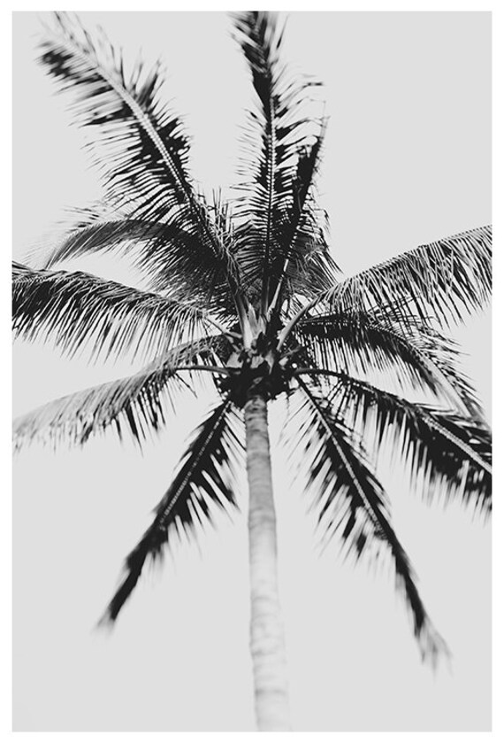 Art & Collectibles Prints Digital Prints Botanical Art Modern Art Print ...