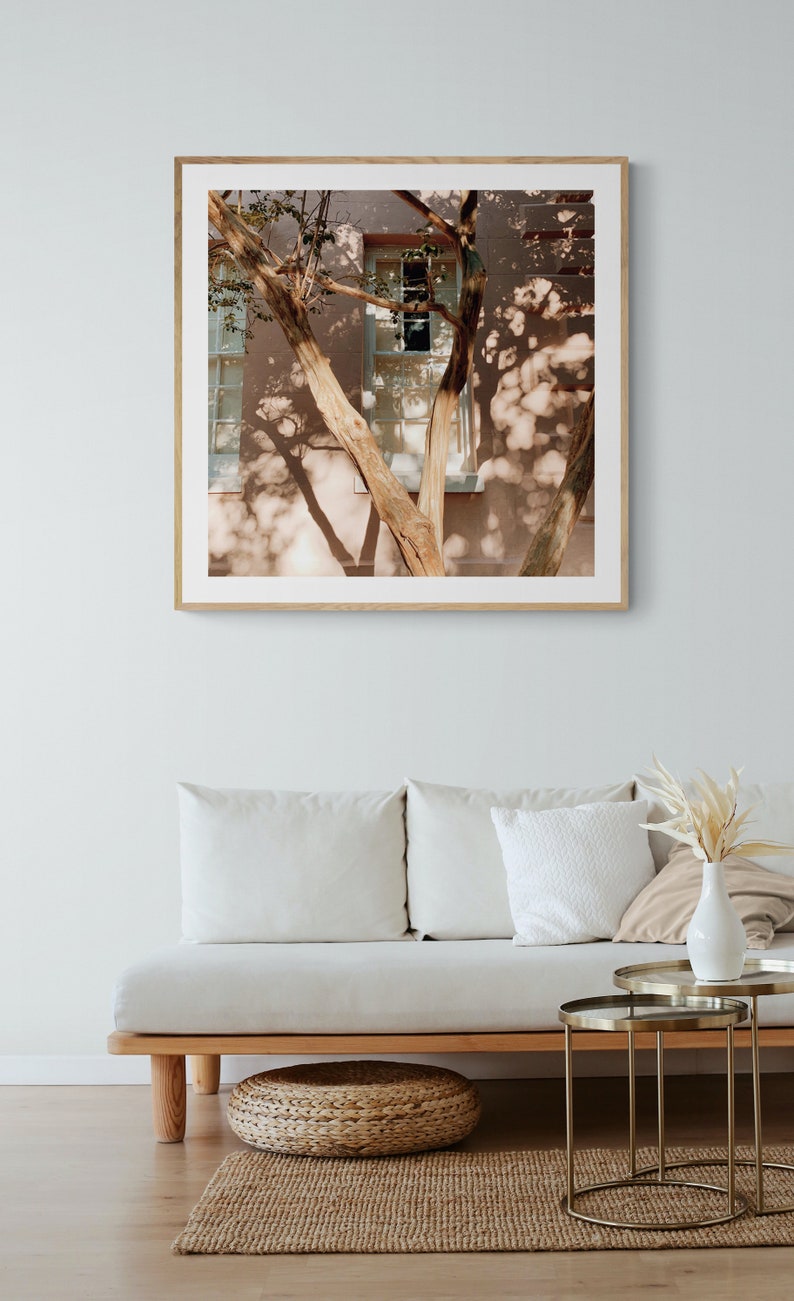 Charleston Art Print, South Carolina Print, Charleston Photograph, Pink ...
