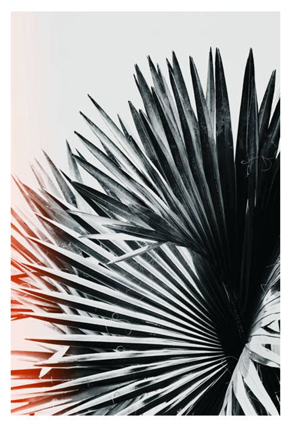 Art & Collectibles Prints Digital Prints Botanical Art Modern Art Print ...