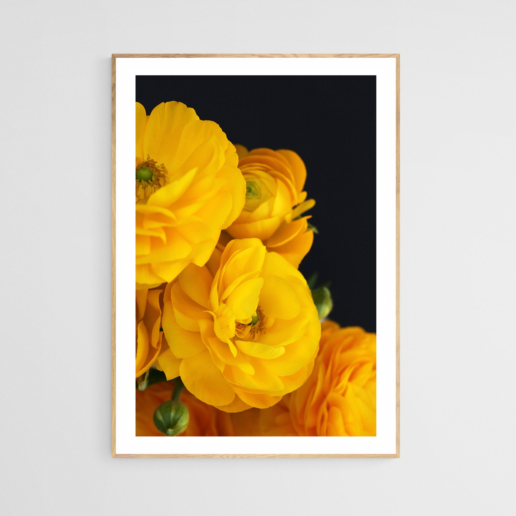 Ranunculus Art Print, Flower Art Print, Botanical Wall Art, Yellow ...