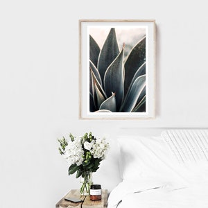 Agave Print Nature Photograph Succulent Photograph Flower - Etsy