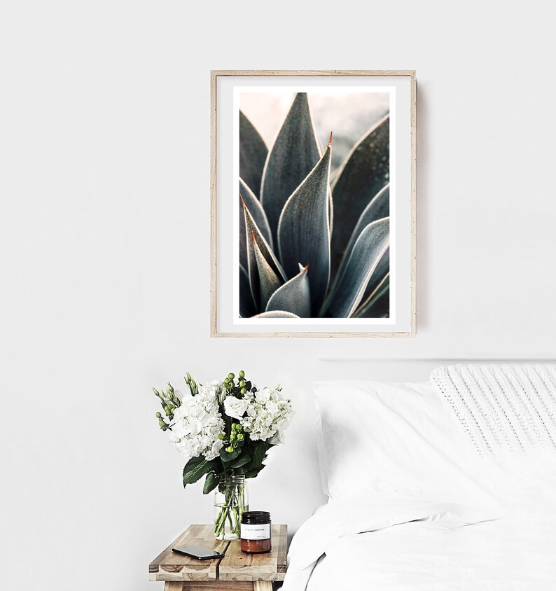 Agave Print Nature Photograph Succulent Photograph Flower - Etsy