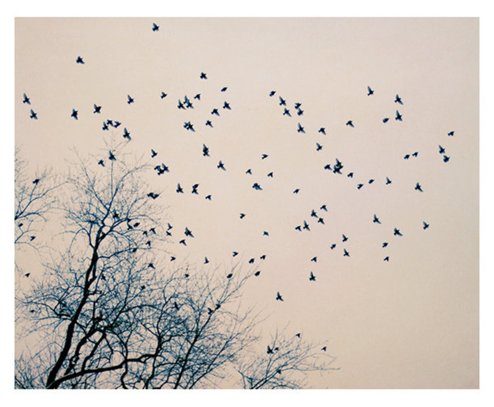 Bird Art Print Birds In Flight Flying Birds Print Tree | Etsy