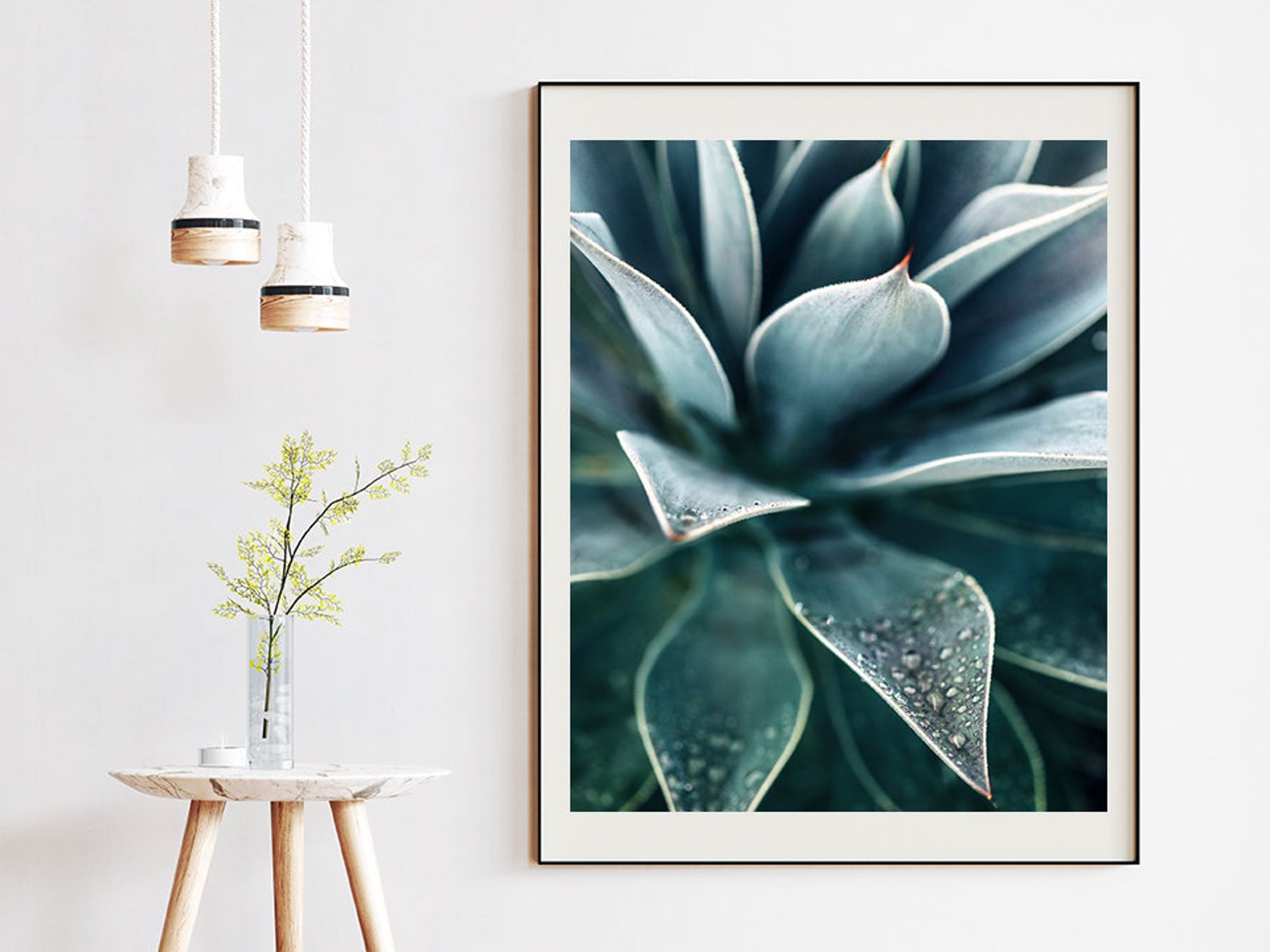 Agave Print Nature Photograph Succulent Photograph Flower - Etsy