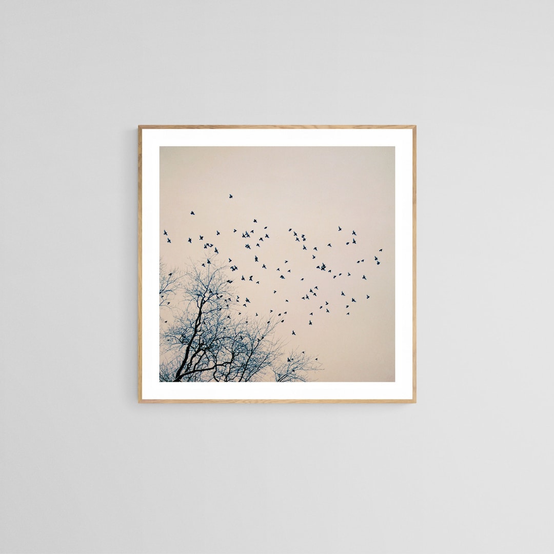Bird Art Print, Birds in Flight, Flying Birds Print, Tree Photograph ...