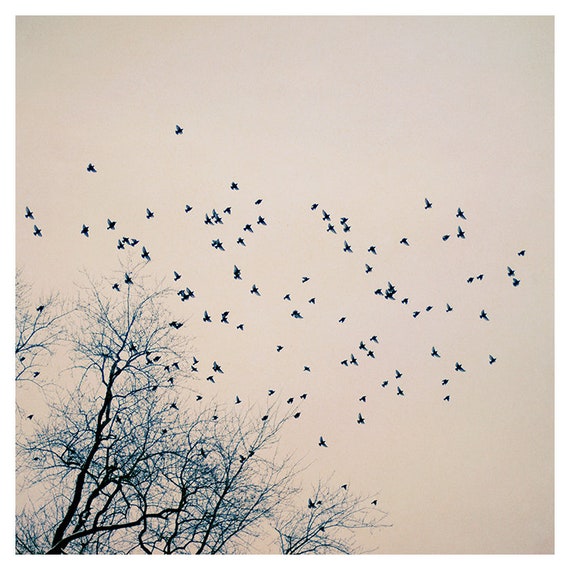 Bird Art Print Birds In Flight Flying Birds Print Tree | Etsy