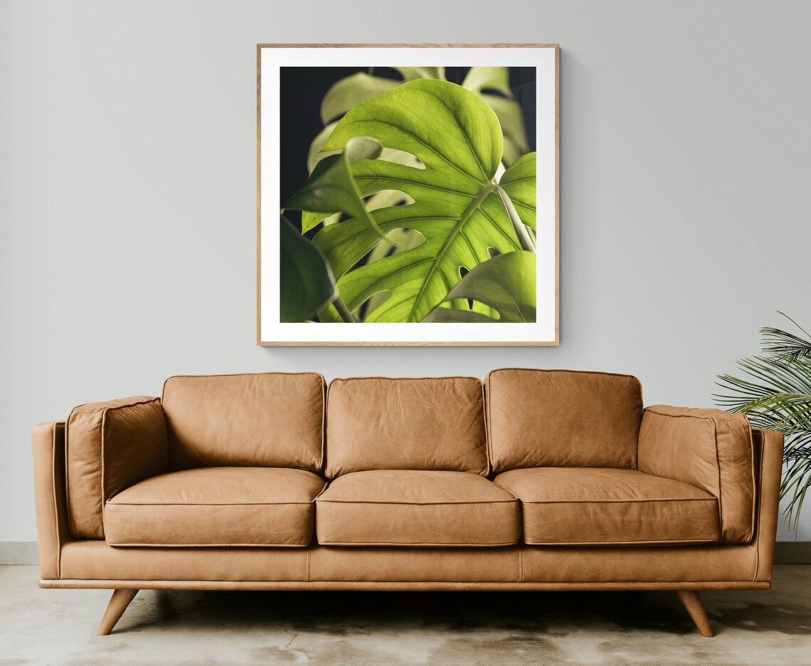 Monstera Print Green Leaf Print Botanical Photograph - Etsy