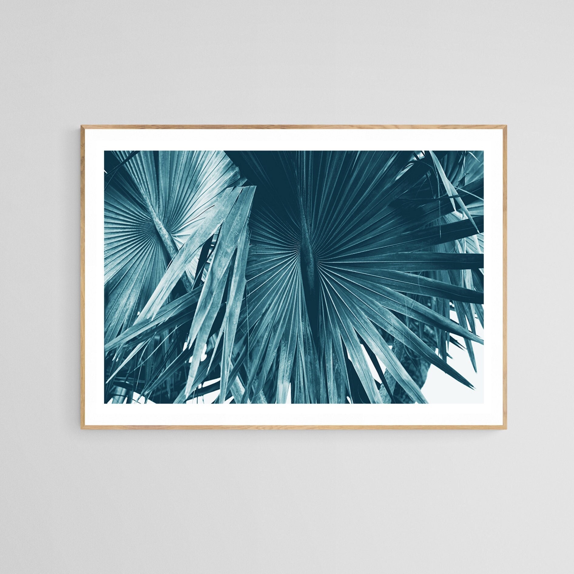 Cyanotype Print Modern Palm Tree Photo Florida Art Tree - Etsy