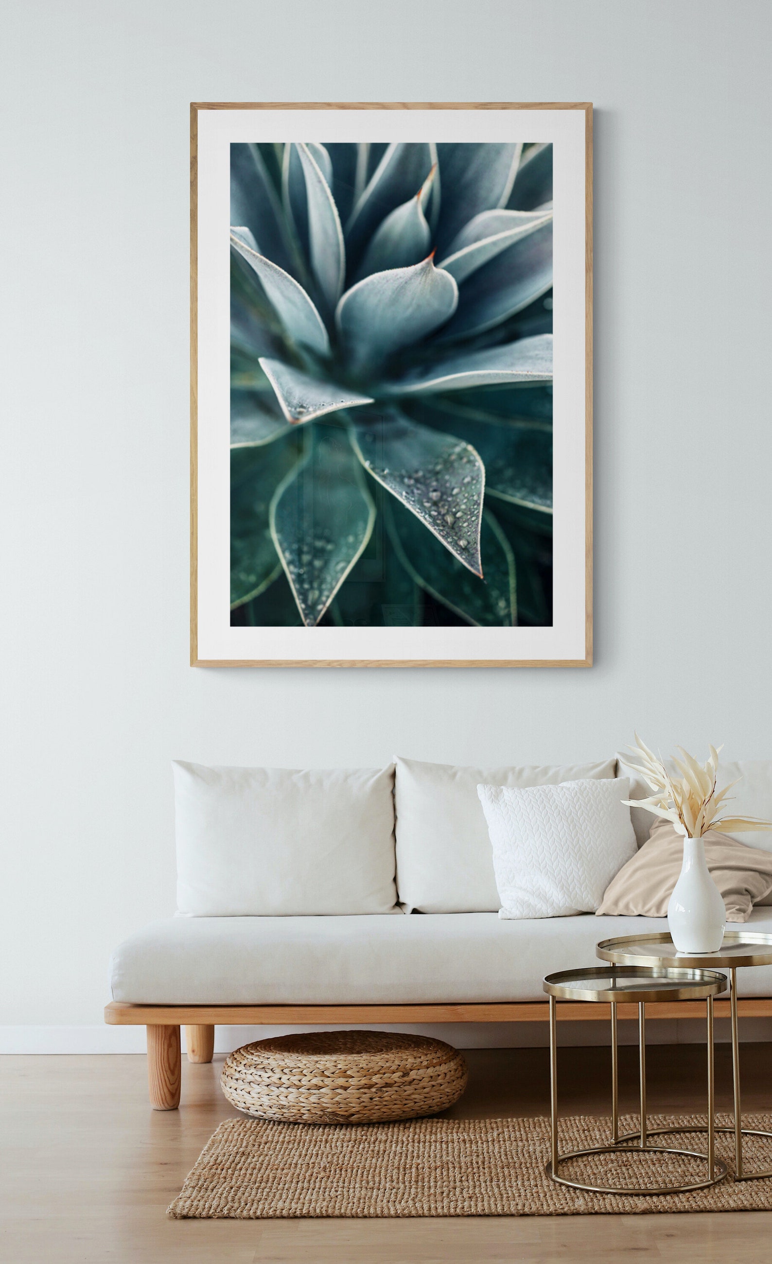 Agave Print Nature Photograph Succulent Photograph Flower - Etsy