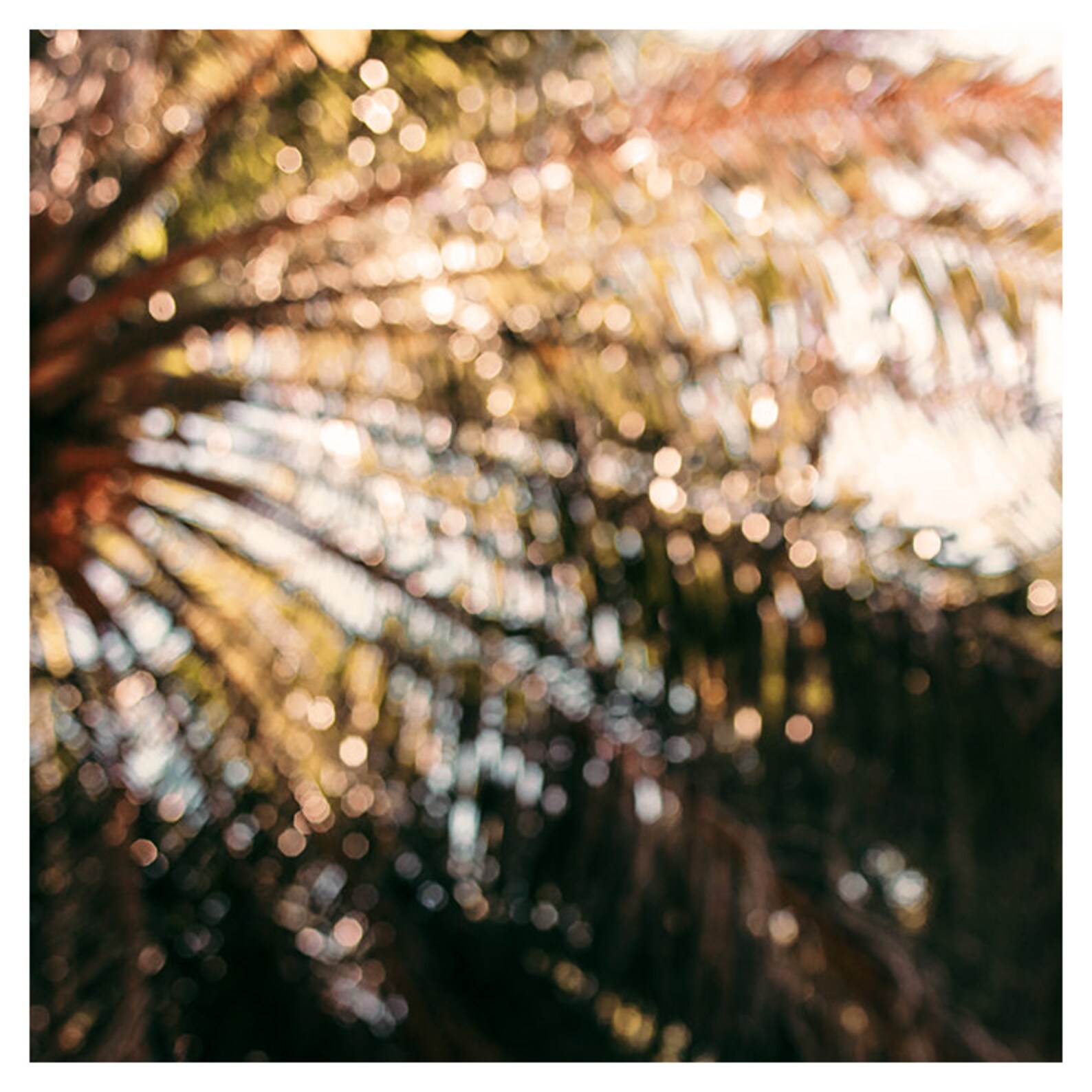 Abstract Art Print Palm Tree Print Tropical Art Palm Art - Etsy