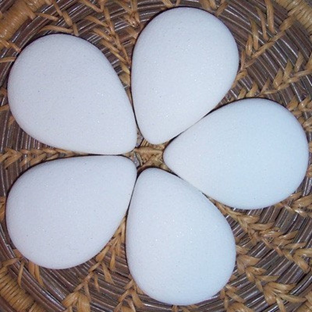 10 Large Bisque Teardrops 1 3/8inch X 1 Inch Each - Etsy