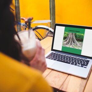 Mindfulness Tree Trunk Photo Exercise Rooted in Serenity, Meditation ...