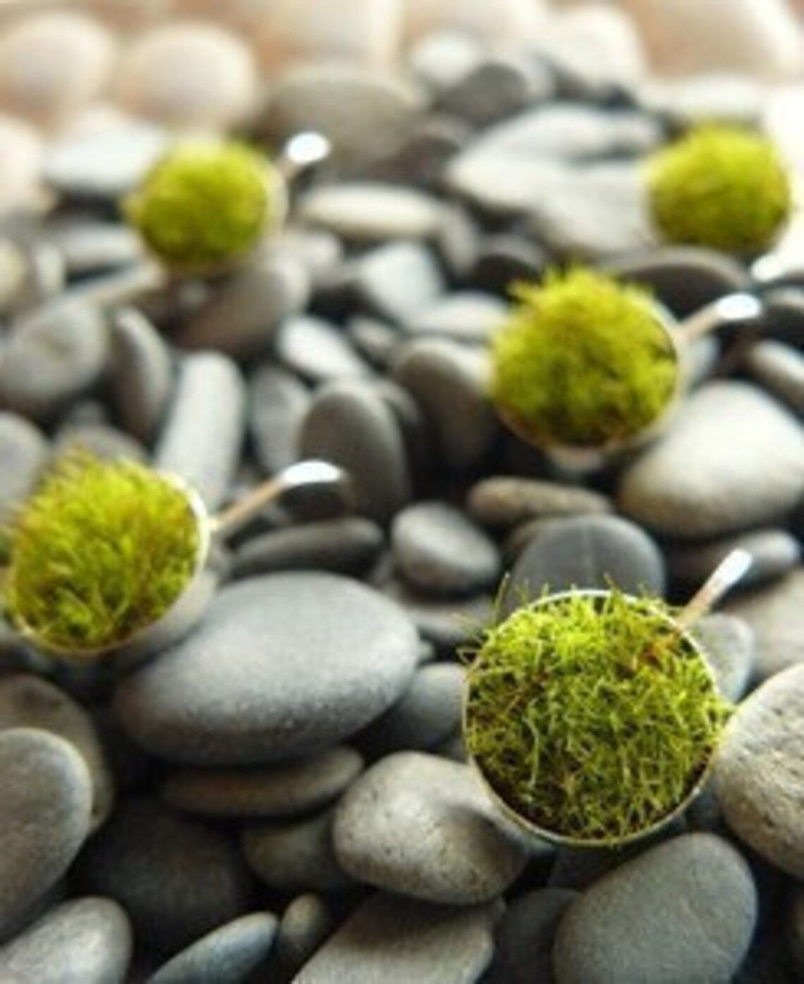 Gather Moss Earrings Medium - Etsy