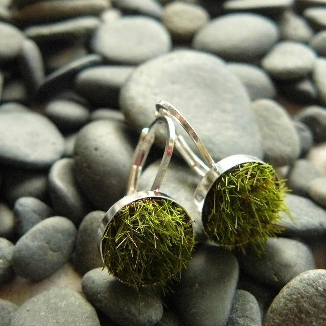 Gather Moss Earrings Medium - Etsy