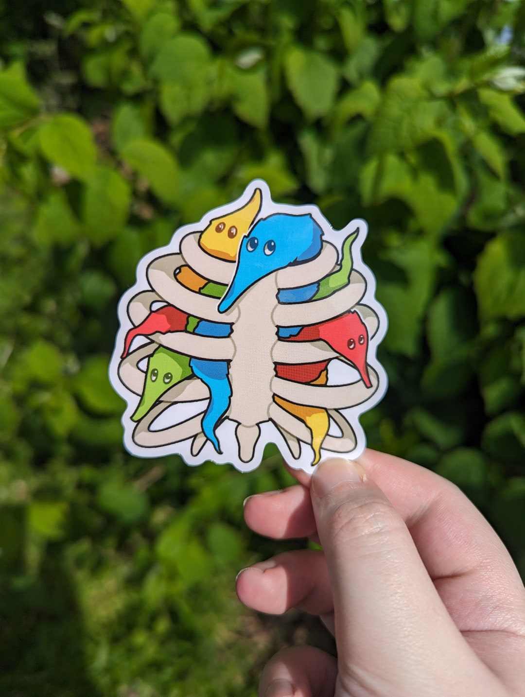 Worm on a String Ribcage Skeleton Vinyl Sticker - Etsy