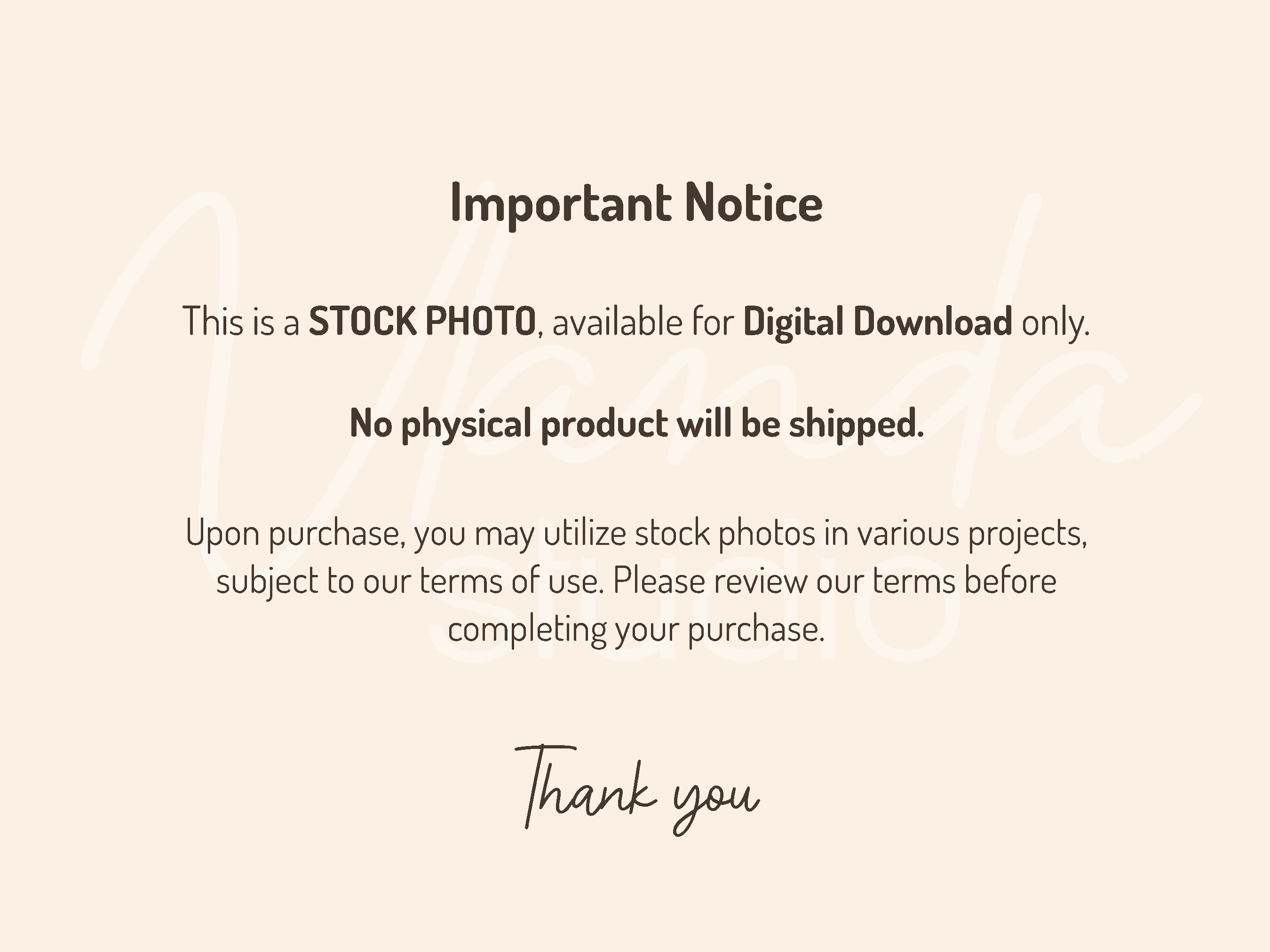 Minimal Fall Table Flat Lay Stock Photography Background - Styled Stock ...