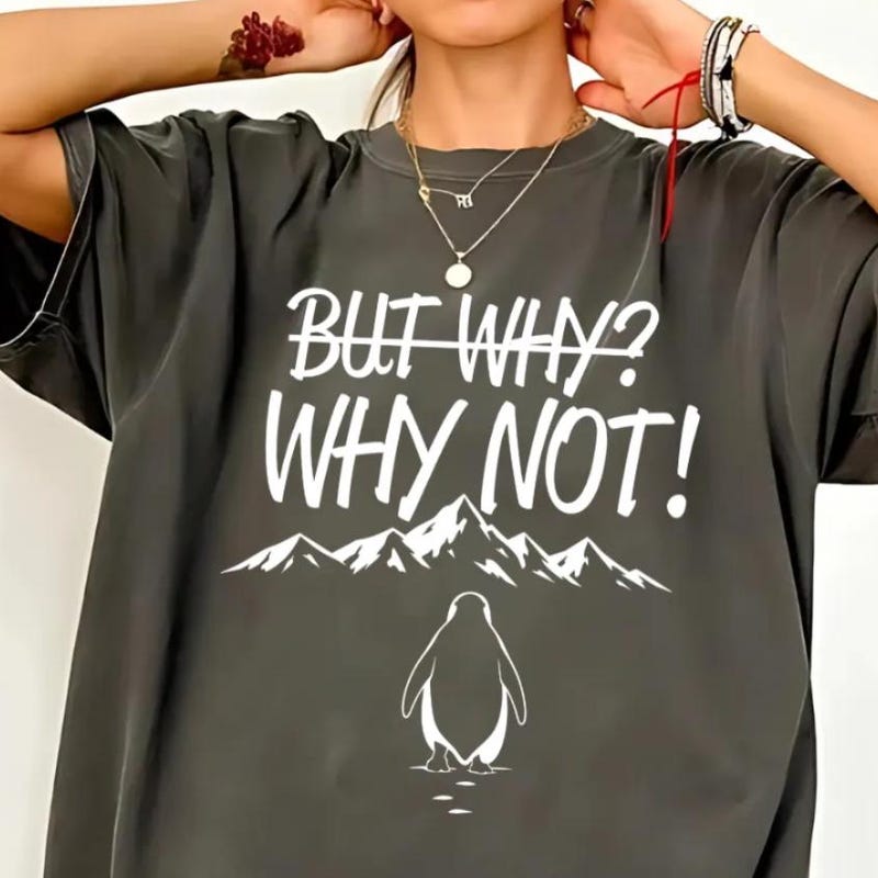 But Why Meme Tshirt - Etsy