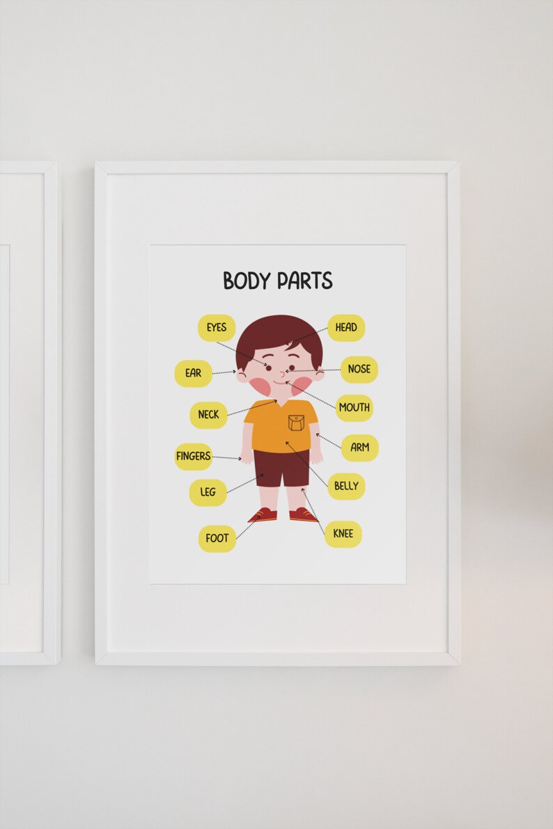 Body Parts Poster, Educational Poster, Homeschool Decor, Body Parts Art ...