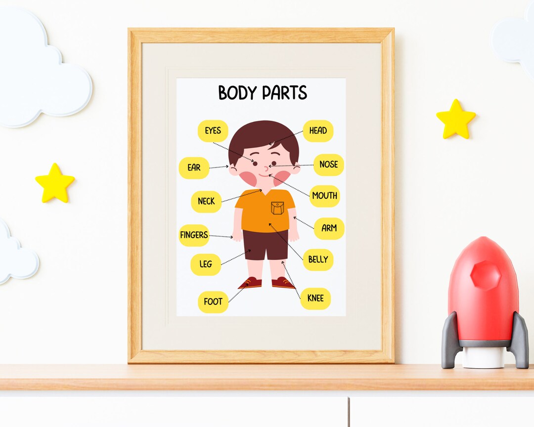 Body Parts Poster, Educational Poster, Homeschool Decor, Body Parts Art ...