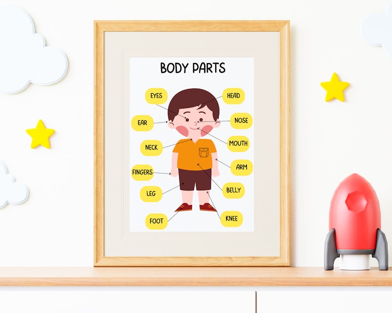 Body Parts Poster, Educational Poster, Homeschool Decor, Body Parts Art ...