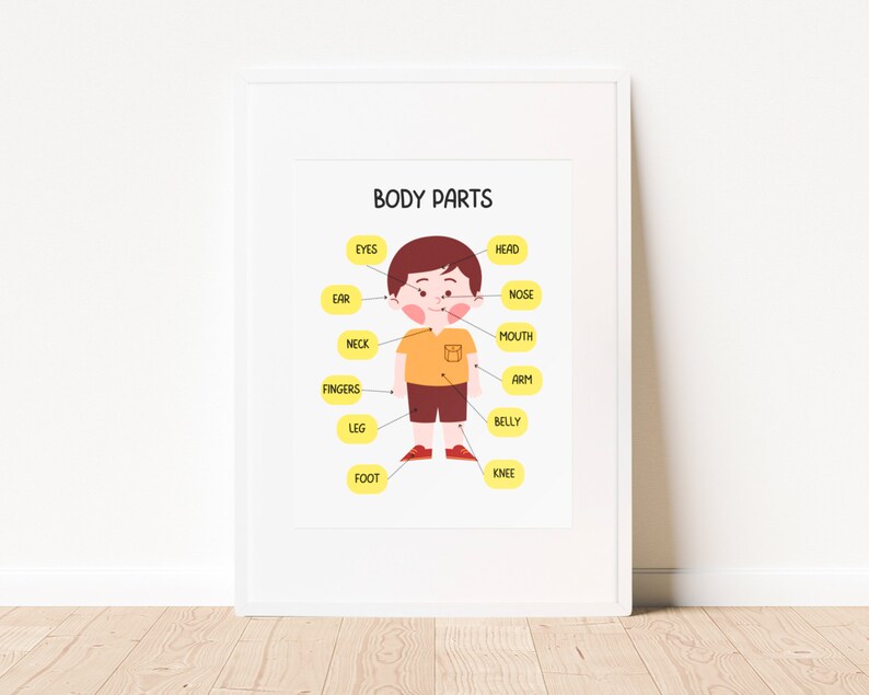 Body Parts Poster, Educational Poster, Homeschool Decor, Body Parts Art ...