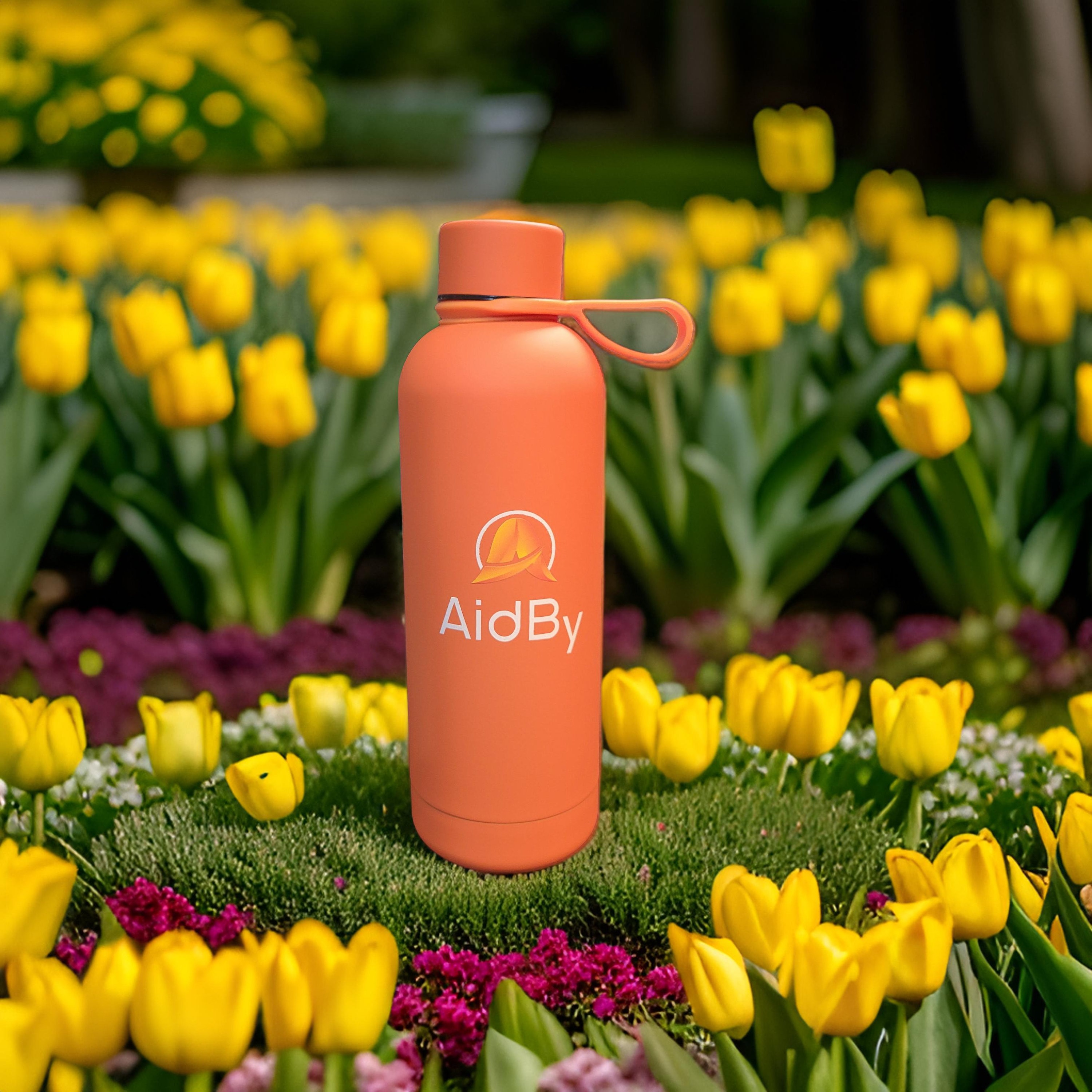 Water Bottle With Strap Stainless Steel, Double Walled, Vacuum ...