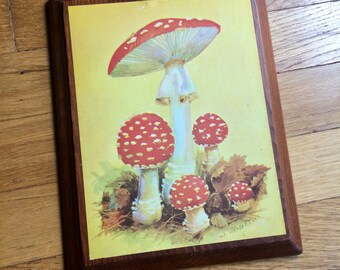 70s mushroom decor | Etsy