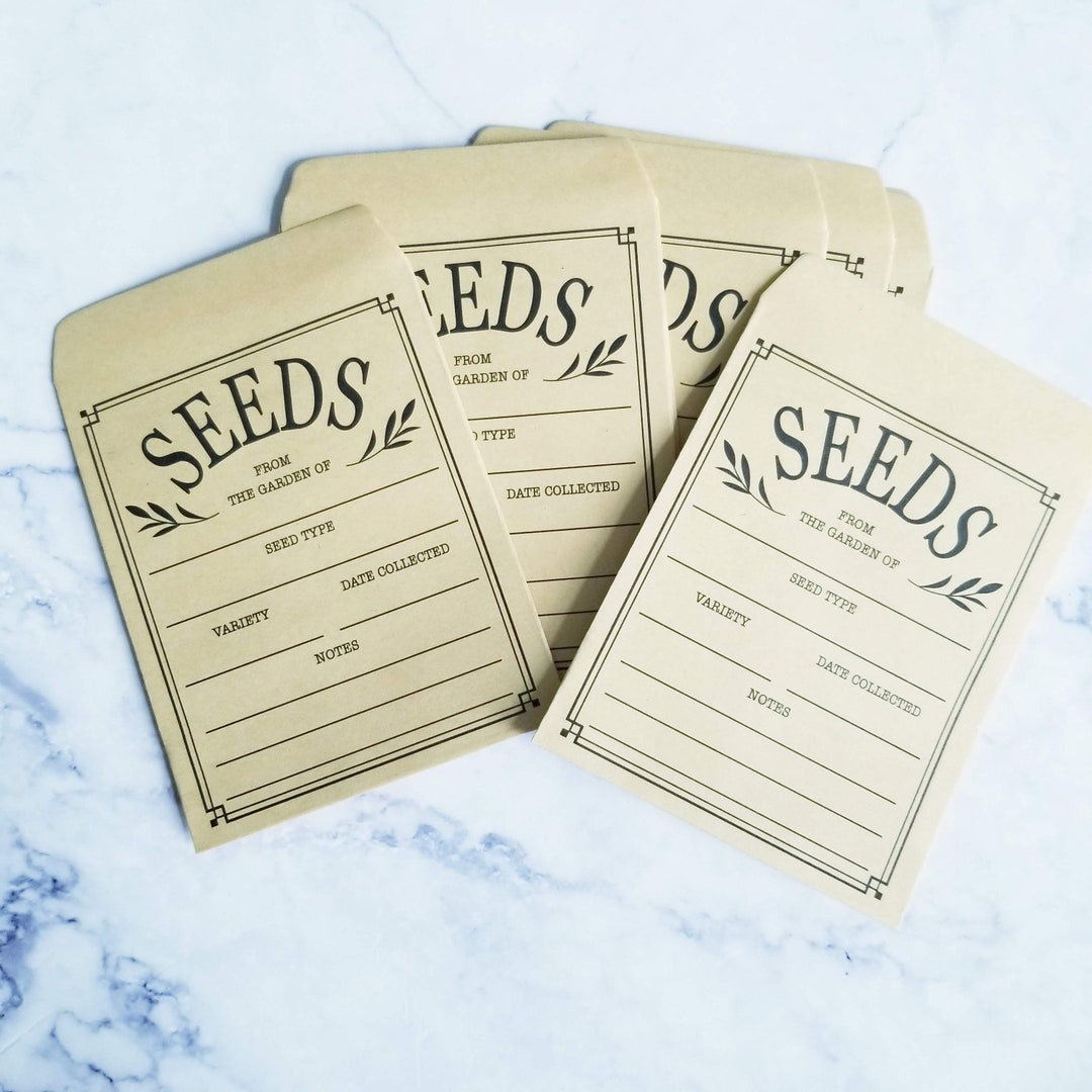 12 Kraft Seed Saving Envelopes for Scrapbooking, Paper Arts, Altered ...