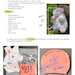 Rat Plushie Sewing Pattern Photo Tutorial, Mouse Stuffed Animal PDF ...