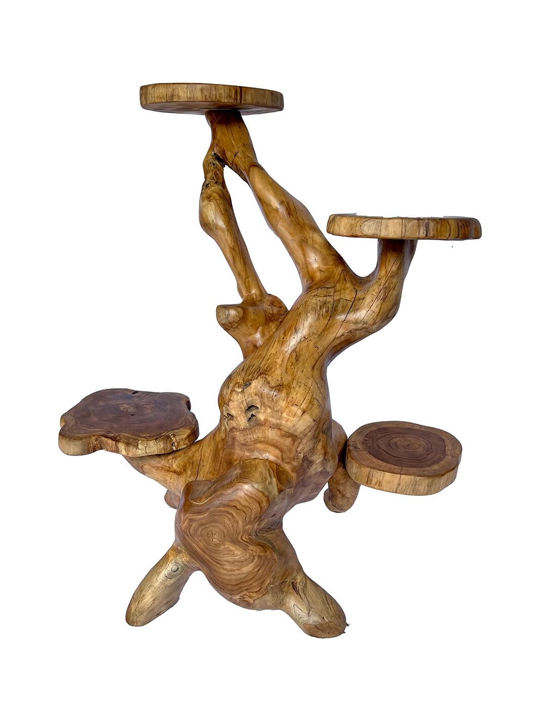 Teak Root Plant Stand - Small Size - Etsy