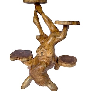 Teak Root Plant Stand Small Size - Etsy