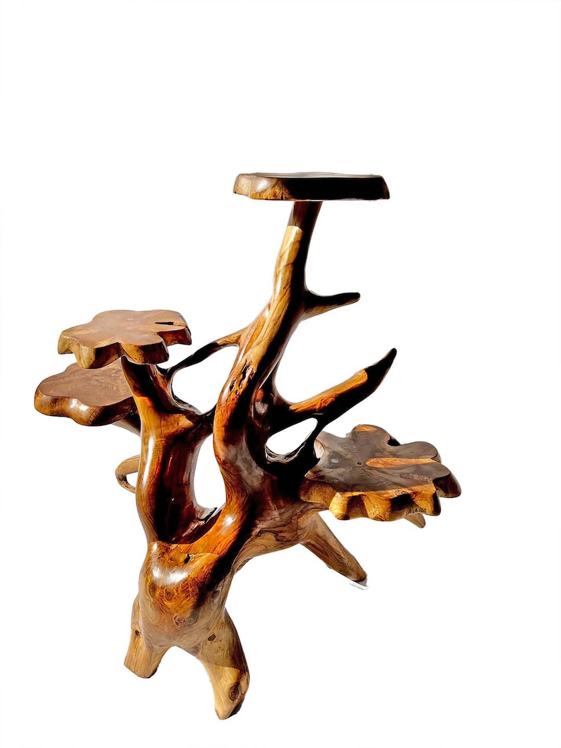 Teak Root Plant Stand - Small Size - Etsy