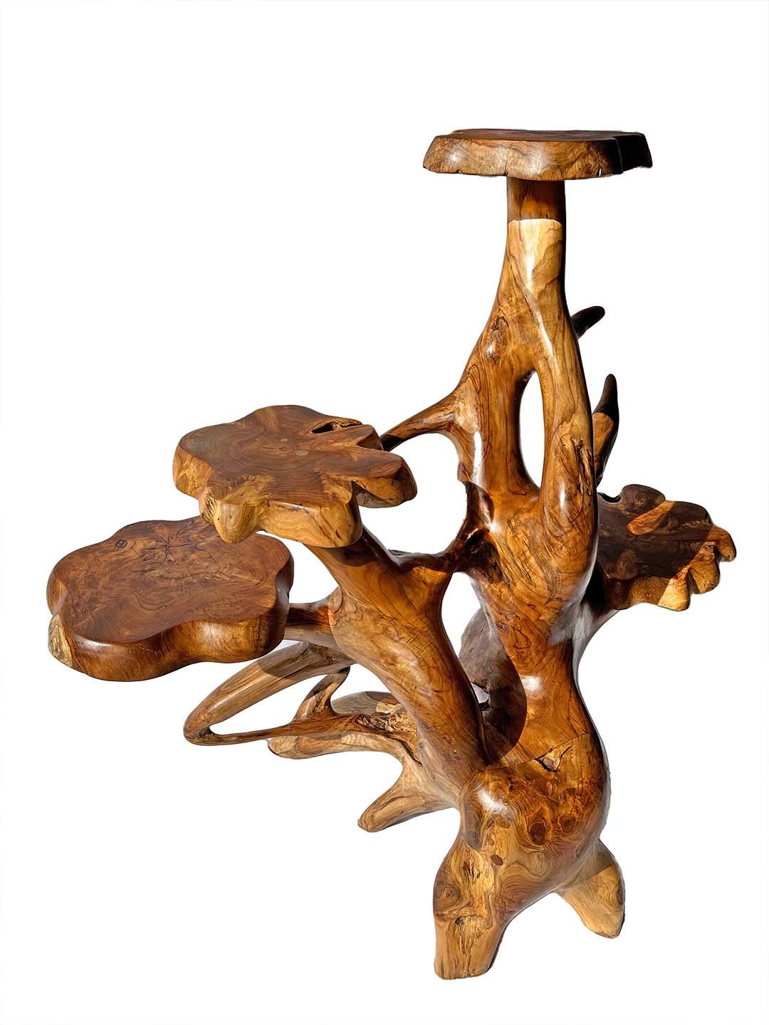 Teak Root Plant Stand - Small Size - Etsy