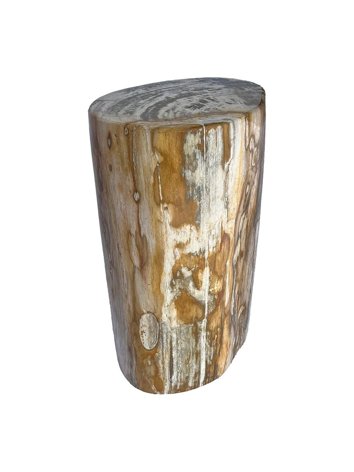 18" Polished Petrified Wood Stump With Orange and Silver Coloring - Etsy