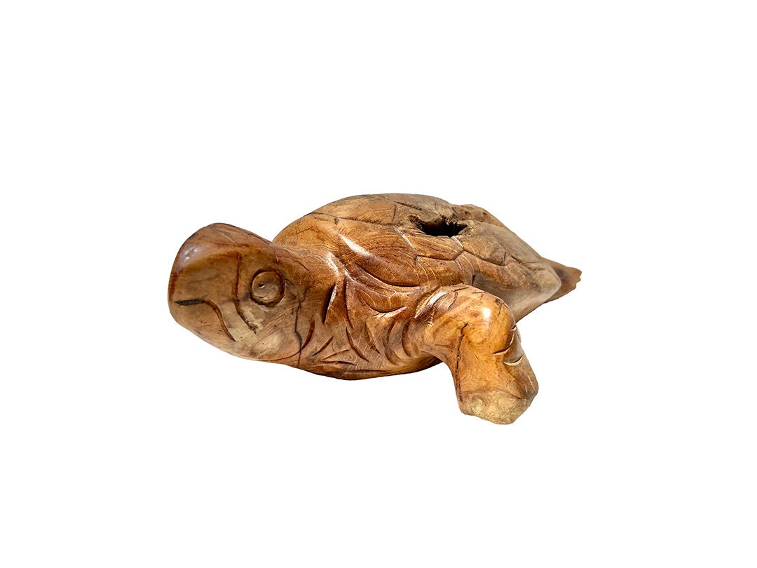 Teak Root Garden Turtle - Etsy
