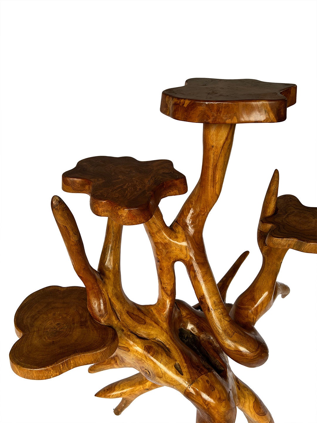 Teak Root Plant Stand - Large Size - Etsy
