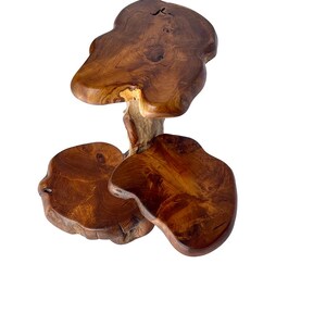 26" Natural Teak Root Plant Stand - Etsy