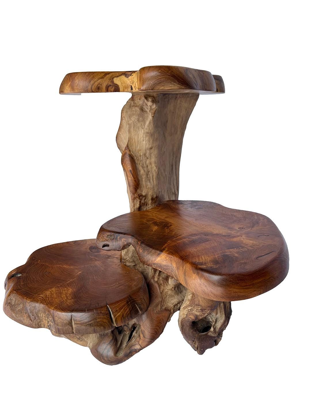 26" Natural Teak Root Plant Stand - Etsy