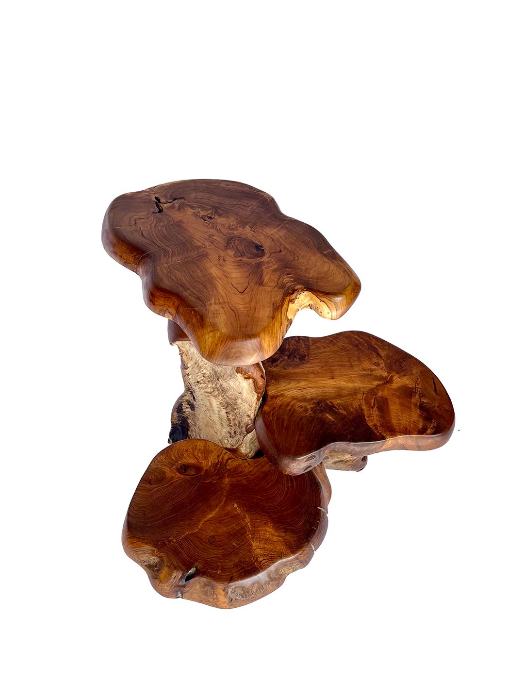 26" Natural Teak Root Plant Stand - Etsy