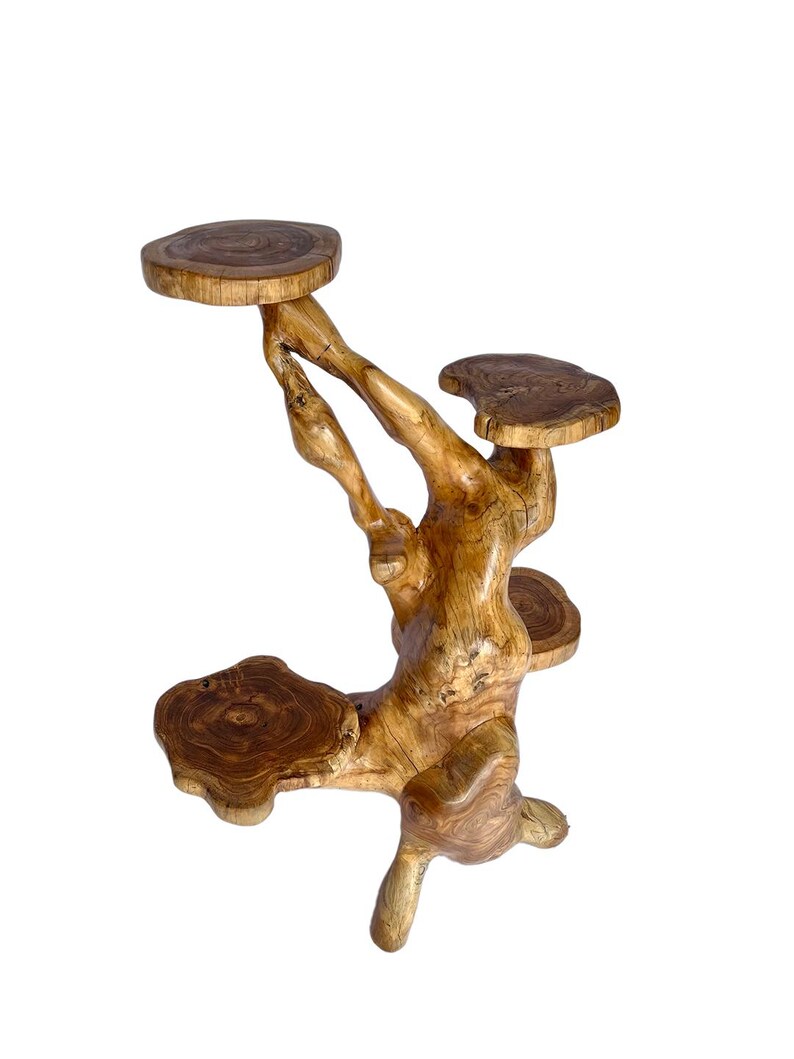 Teak Root Plant Stand - Small Size - Etsy