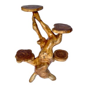 Teak Root Plant Stand - Small Size - Etsy
