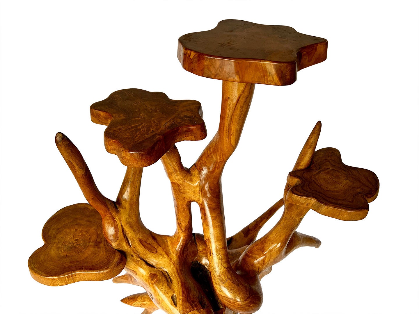 Teak Root Plant Stand - Large Size - Etsy