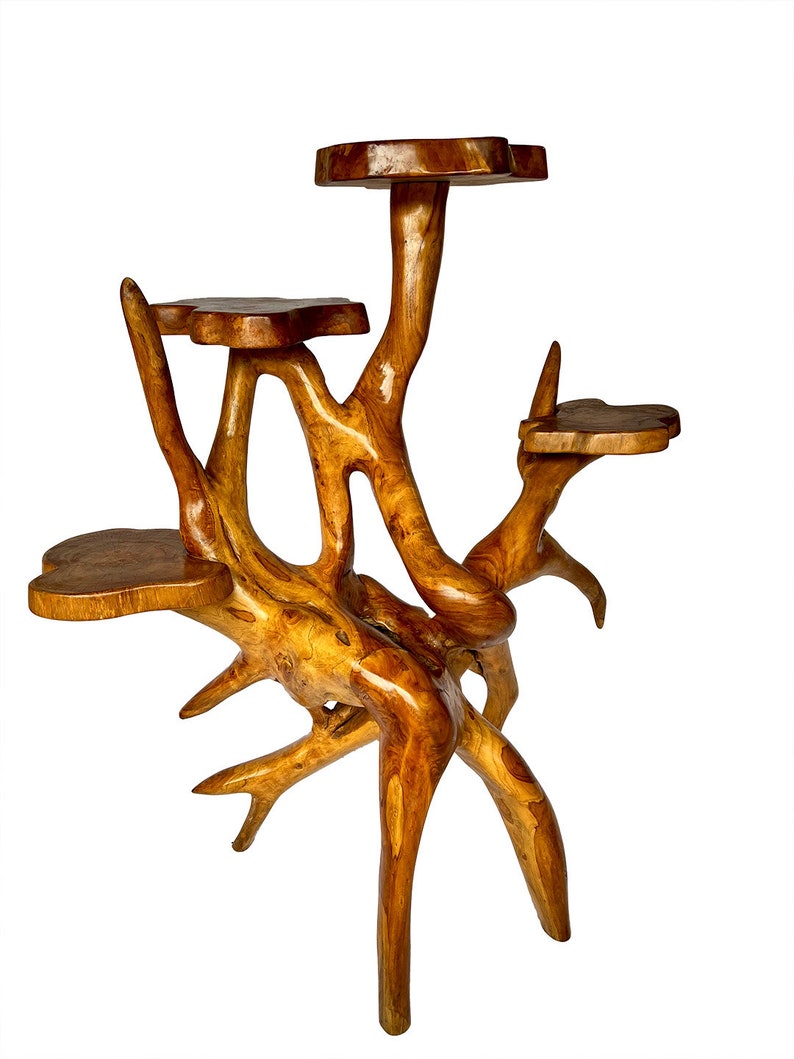 Teak Root Plant Stand - Large Size - Etsy
