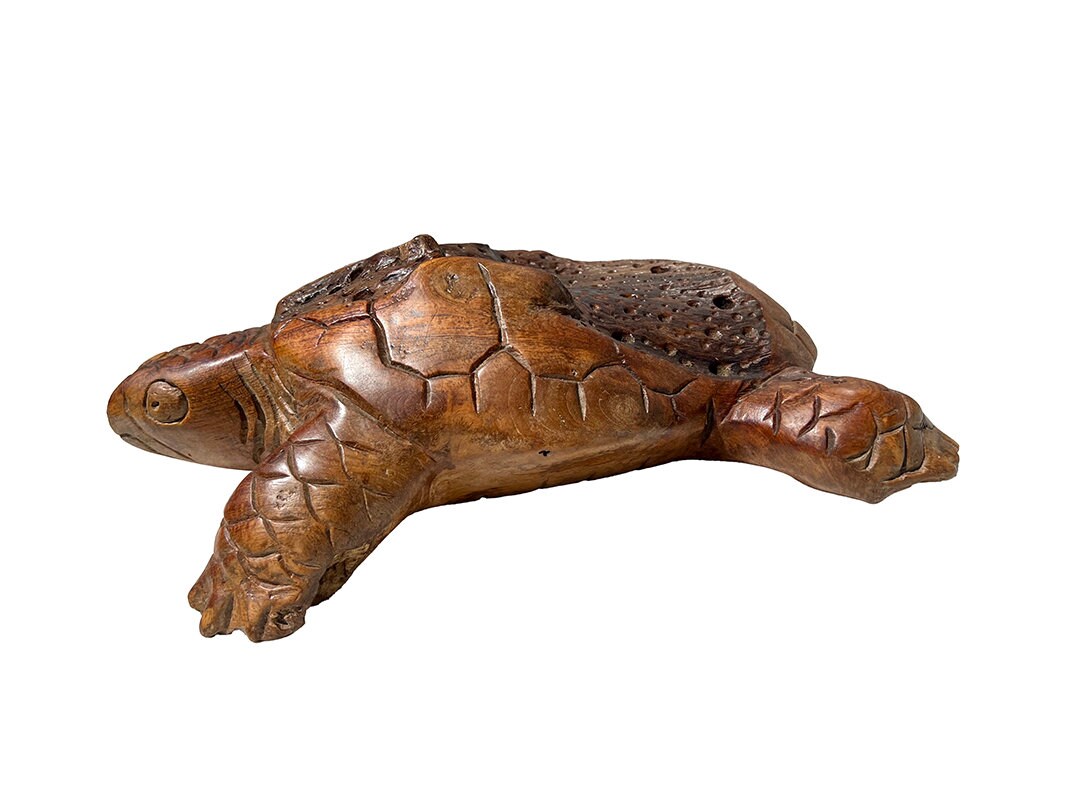 Teak Root Garden Turtle - Etsy