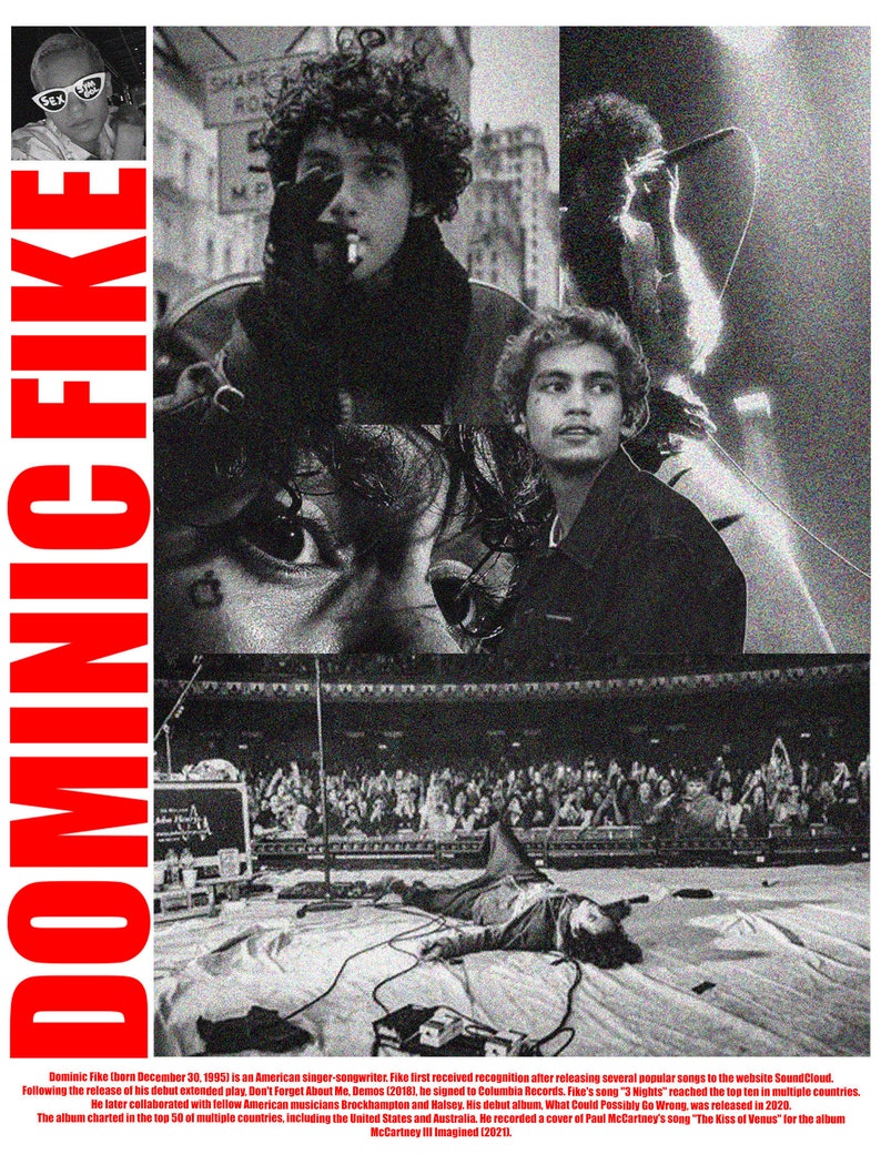 Dominic Fike Poster - Etsy