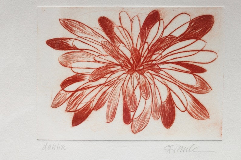 Red Dahlia Red drypoint MONOPRINT of a dahlia flower OOAK | Etsy